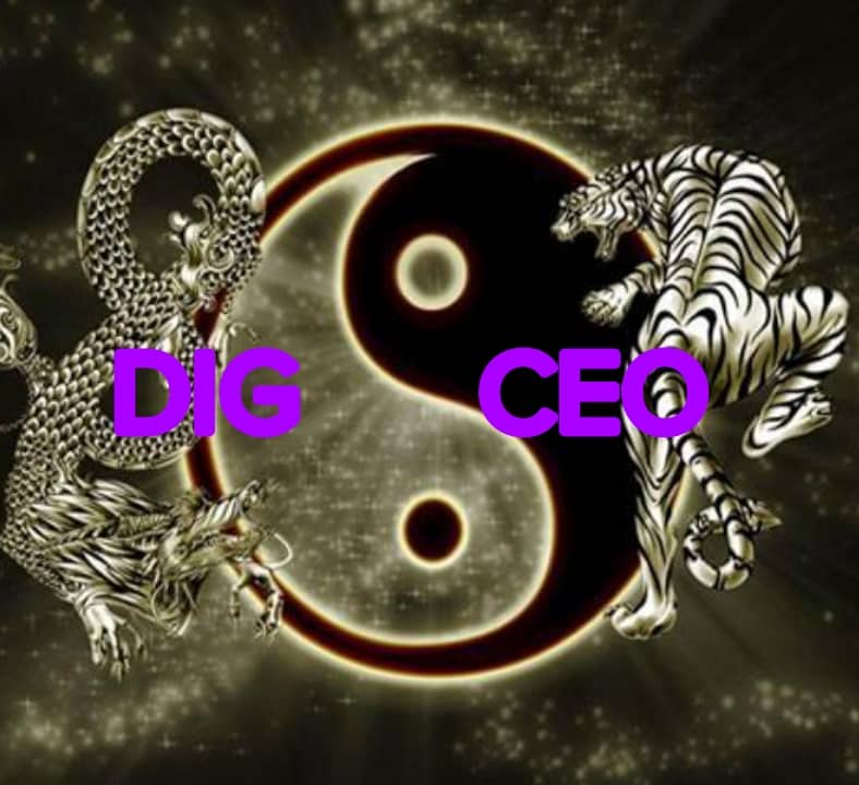 A7 và Ben Whyte trao đổi gì, CEO DIG đang ở thế ngọa hổ tàng long - Thị ...